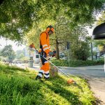 Débroussailleuse STIHL : Comparatif et guide pour choisir le meilleur ...
